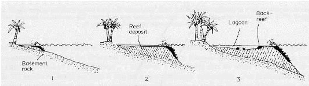 Characteristics of sedimentary shores - Coastal Wiki