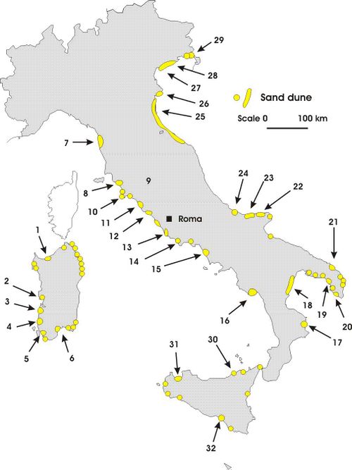 Sand dune - Country Report, Italy - Coastal Wiki