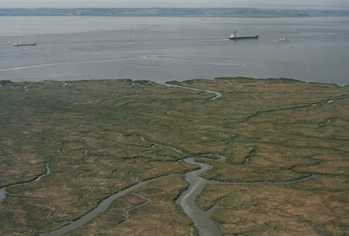 Spatial and temporal variability of salt marshes - Coastal Wiki
