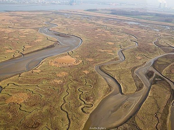 Estuarine turbidity maximum - Coastal Wiki