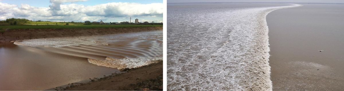 Tidal bore dynamics - Coastal Wiki