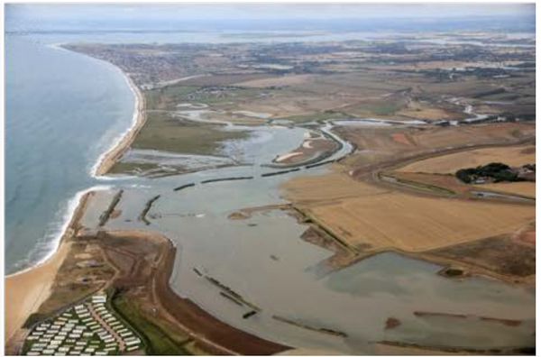 Nature-based shore protection - Coastal Wiki