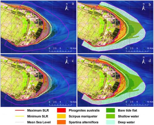 Dynamics, threats and management of salt marshes - Coastal Wiki