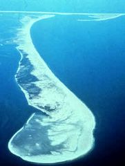 Coral reefs - Coastal Wiki