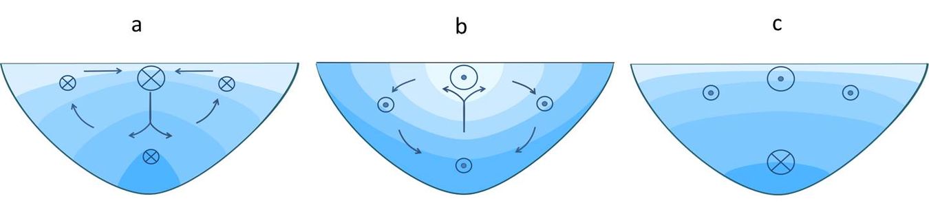 Estuarine circulation - Coastal Wiki
