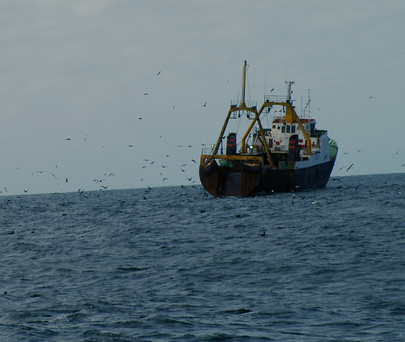 Ecosystem Approach to the South African hake fishery - Coastal Wiki