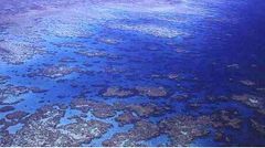 Coral reefs - Coastal Wiki