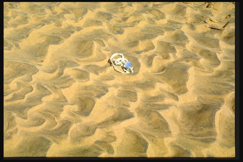 Bedforms and roughness - Coastal Wiki