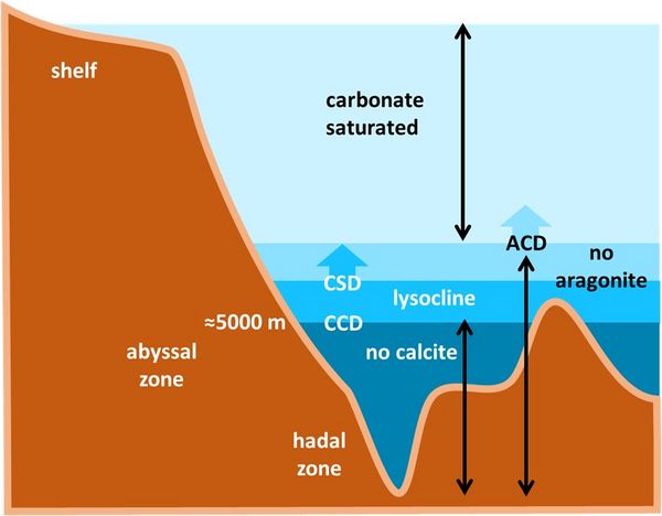 Ocean acidification - Coastal Wiki