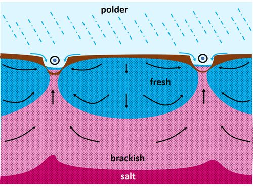 Groundwater management in low-lying coastal zones - Coastal Wiki