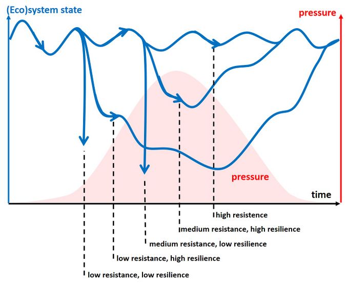 Resilience and resistance - Coastal Wiki