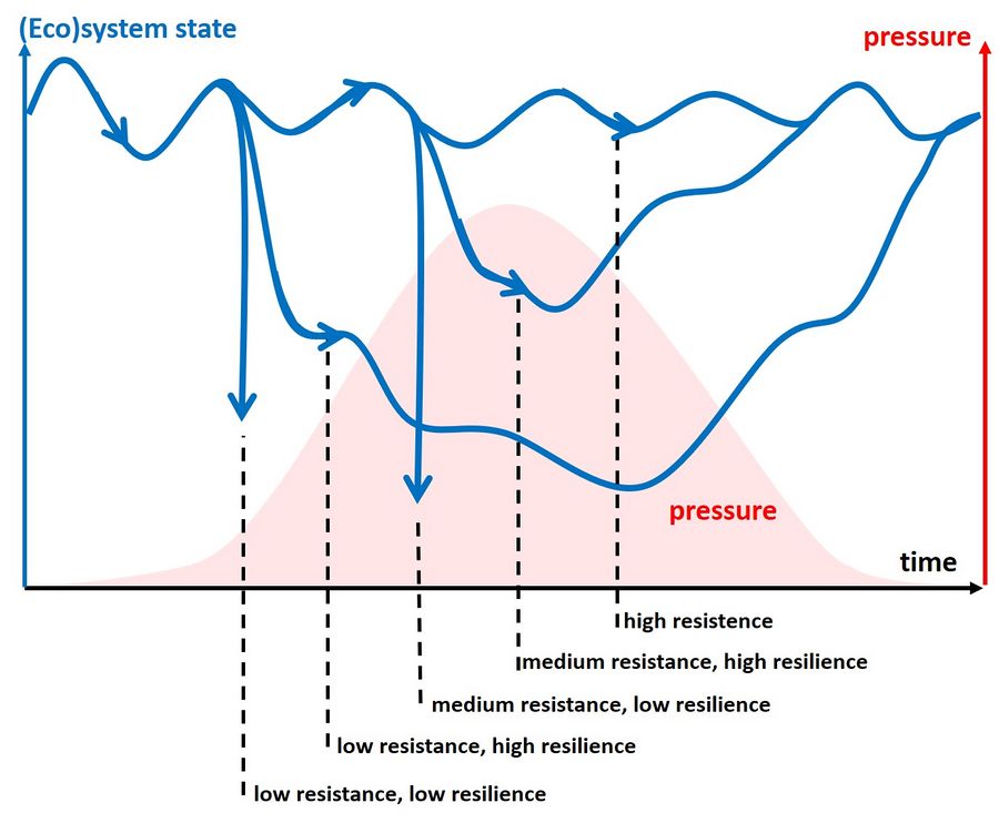Resilience and resistance - Coastal Wiki