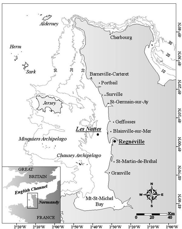 French case studies: Dynamic of swash bar and hook spit formation in ...