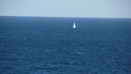 Open ocean habitat - Coastal Wiki