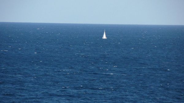 Open ocean habitat - Coastal Wiki