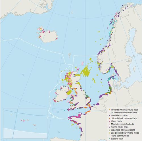 Biogenic reefs of Europe and temporal variability - Coastal Wiki