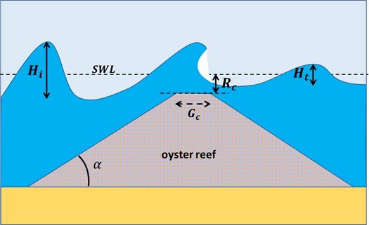 Oyster reef shore protection - Coastal Wiki