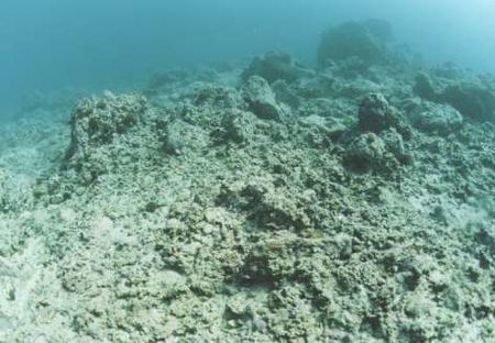 Habitat destruction and fragmentation - Coastal Wiki