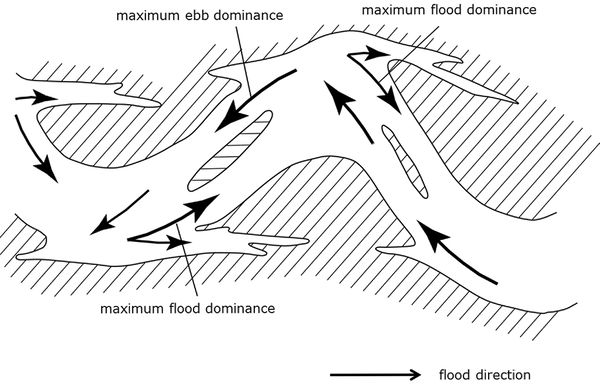 Morphology of estuaries - Coastal Wiki