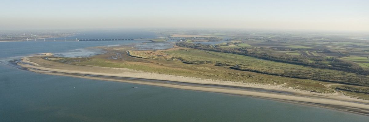 Dune development - Coastal Wiki