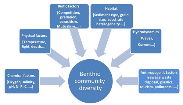 Benthos - Coastal Wiki