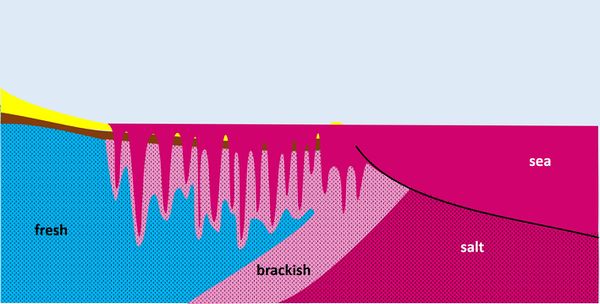 Groundwater management in low-lying coastal zones - Coastal Wiki