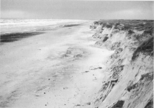 Characteristics of sedimentary shores - Coastal Wiki