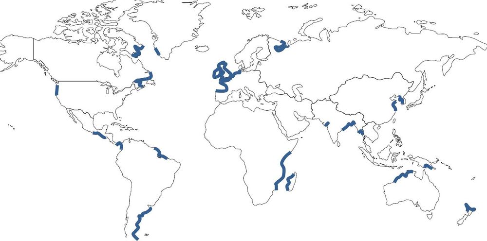 Morphology of estuaries - Coastal Wiki