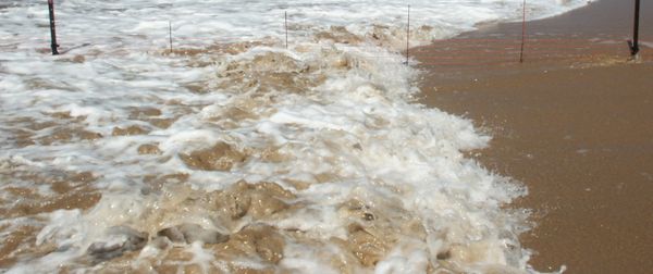 Swash Zone Dynamics Coastal Wiki