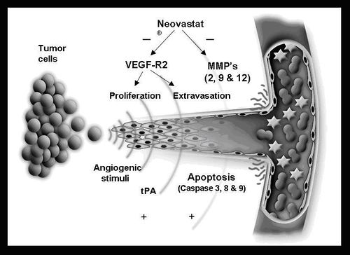 AE-941 - Coastal Wiki