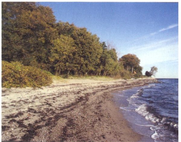 Characteristics of sedimentary shores - Coastal Wiki