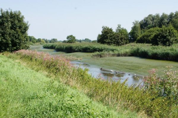 Tidal rivers - Coastal Wiki