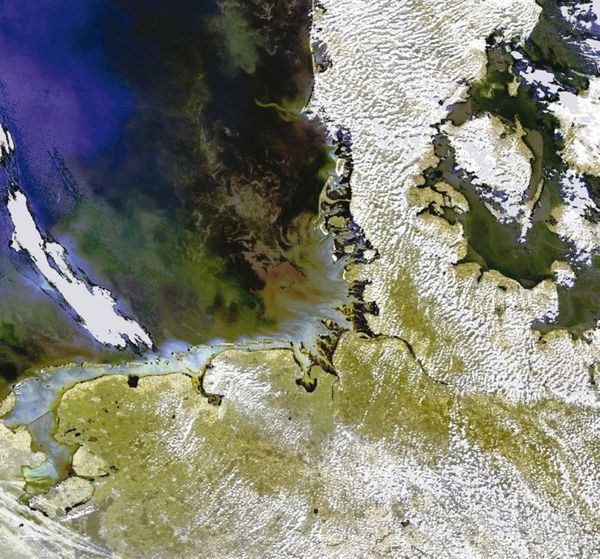 Detecting the unknown - novelty detection of exceptional water ...