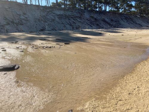 Dune development - Coastal Wiki