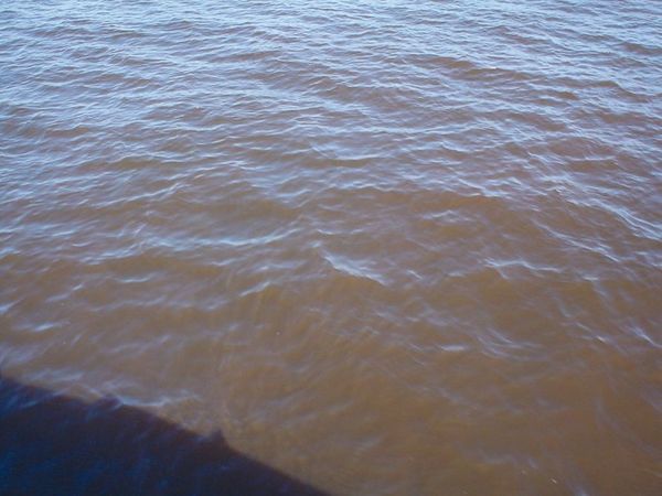 Detecting the unknown - novelty detection of exceptional water ...