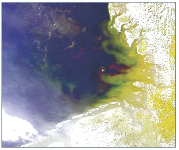 Plankton remote sensing North Sea - Coastal Wiki
