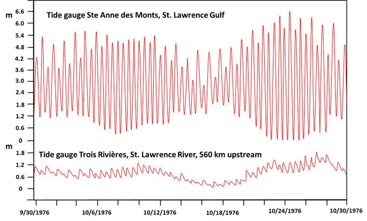 River tides - Coastal Wiki