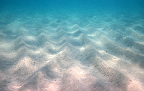 Bedforms and roughness - Coastal Wiki