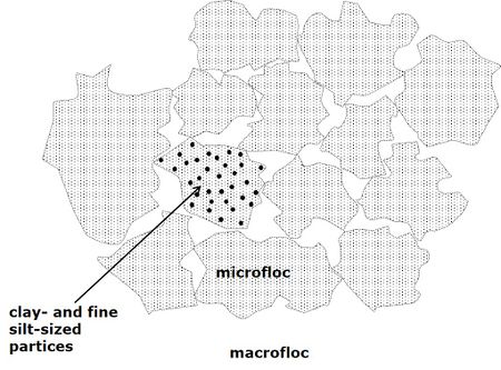 Flocculation cohesive sediments - Coastal Wiki