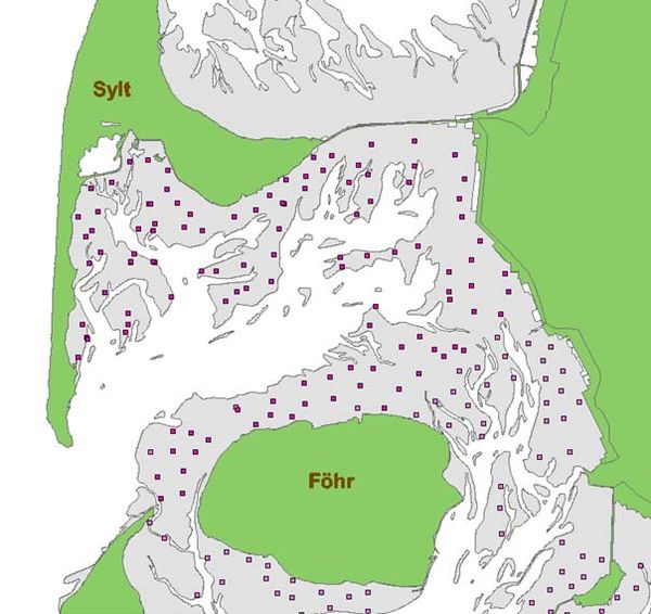 Large scale mapping of intertidal areas - Coastal Wiki